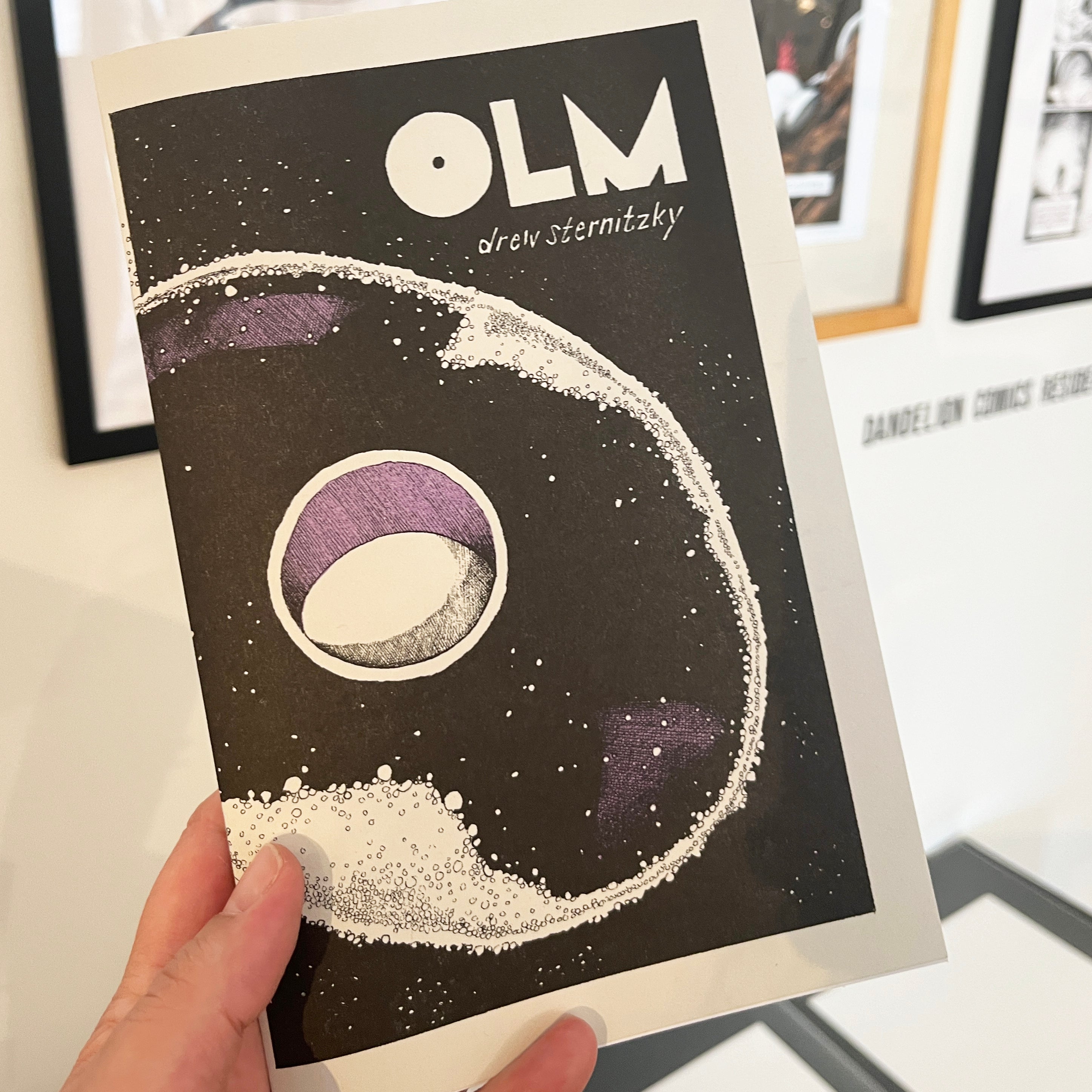 OLM, by Drew Sternitzky | Lion's Tooth